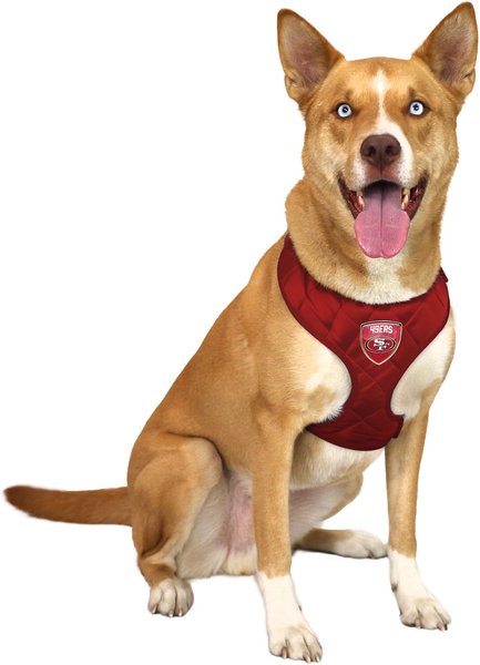 LITTLEARTH NFL Velvet Dog Harness, San Francisco 49ers, Medium - Chewy.com