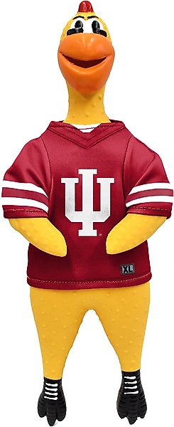 LITTLEARTH Rubber Chicken Squeaky Dog Chew Toy, Indiana Hoosiers ...