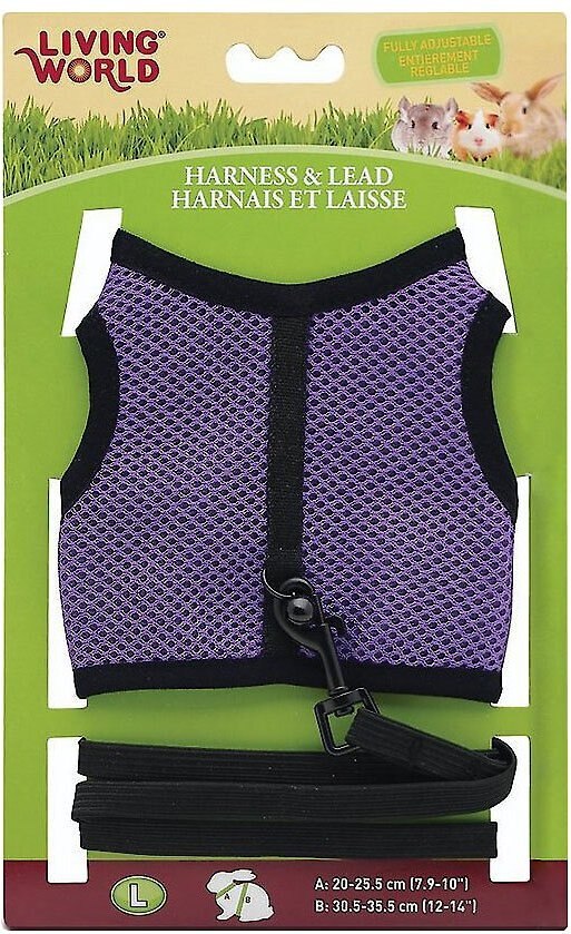 LIVING WORLD Small Animal Harness & Lead, Color Varies, Large - Chewy.com