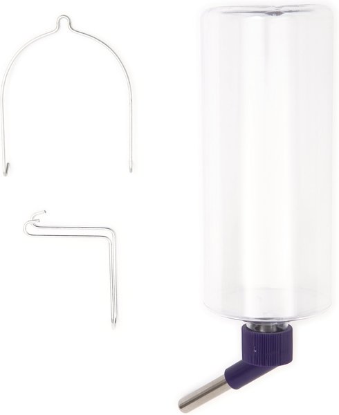 Out of Stock - LIXIT Best Buy Rabbit Water Bottle, Clear, 32-oz - Chewy.com