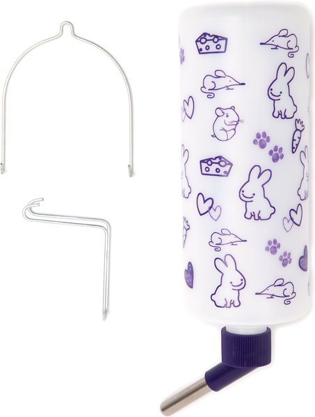 LIXIT Best Buy Rabbit Water Bottle, Frosted, 32-oz - Chewy.com