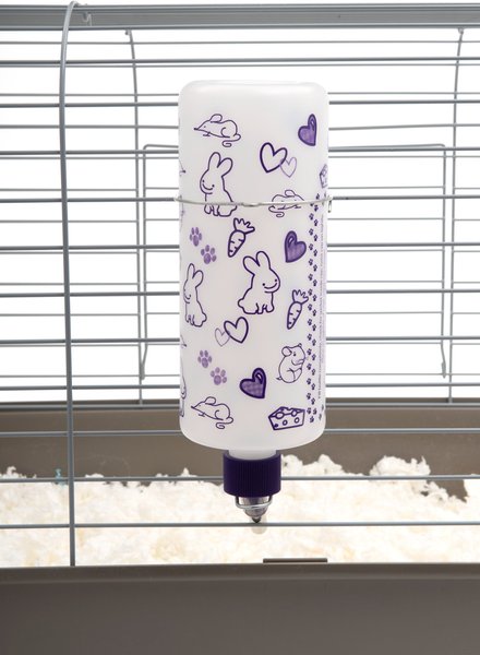 LIXIT Best Buy Rabbit Water Bottle, Frosted, 32-oz - Chewy.com