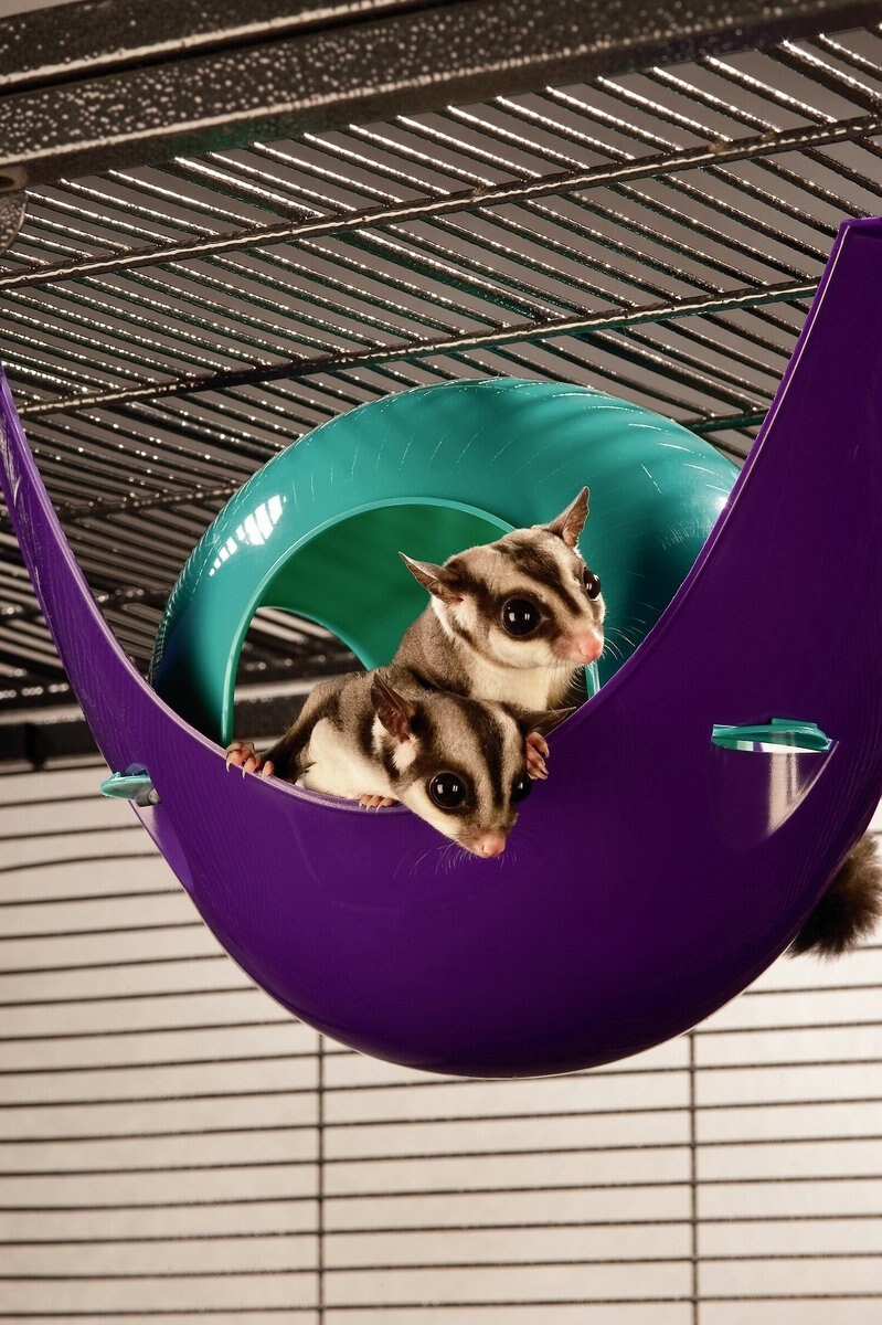 Out of Stock - LIXIT Critter Space Pod Small Animal Hideout, Color ...