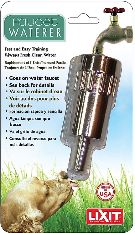 Lixit - Free shipping | Chewy