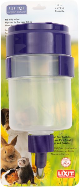LIXIT Quick Lock Flip Top Rabbit Water Bottle, 16-oz - Chewy.com