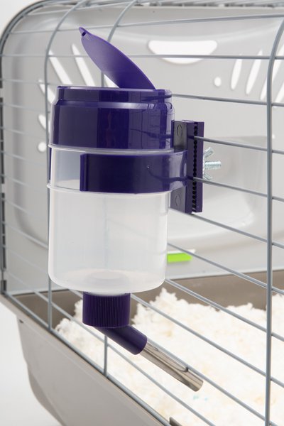 LIXIT Quick Lock Flip Top Rabbit Water Bottle, 16-oz - Chewy.com