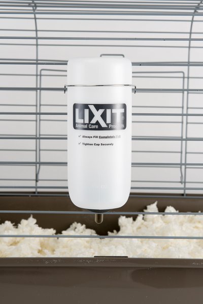 Out of Stock - LIXIT Wide Mouth Small Animal Water Bottle, 16-oz - Chewy.com