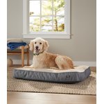 SNOOZER PET PRODUCTS Round Indoor Outdoor Cozy Cave Dog Bed, Celtic ...