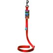 LOOPS 2 Double Handle Dog Leash, Red - Chewy.com