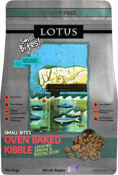 Lotus - Free shipping | Chewy