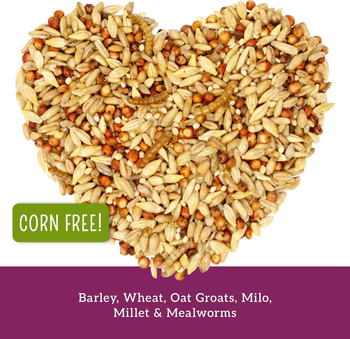 LOVE MY GIRLS 5-Grain & Worms Corn-Free Gourmet Chicken Treats, 5-lb ...