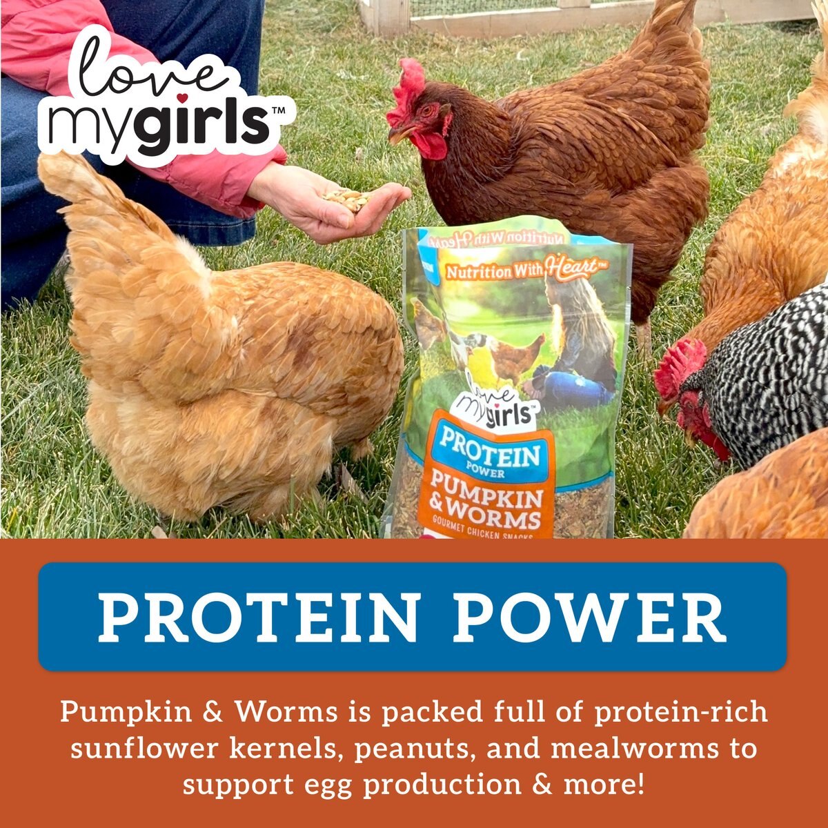 LOVE MY GIRLS Pumpkin & Worms Corn-Free Gourmet Chicken Treats, 2-lb ...