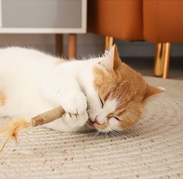 Temporarily Unavailable - LOVELY CAVES Feather Silvervine Sticks Cat ...