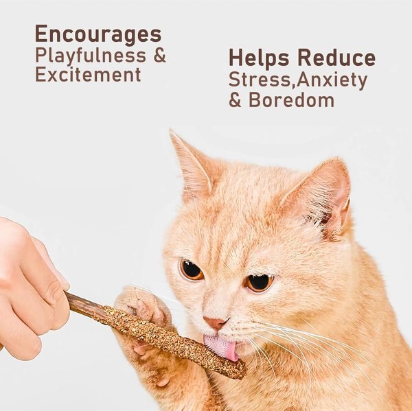 Temporarily Unavailable - LOVELY CAVES Gall Fruit & Catnip Silvervine ...