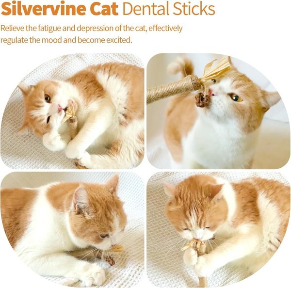 Temporarily Unavailable - LOVELY CAVES Silvervine Sticks Moderate Cat ...