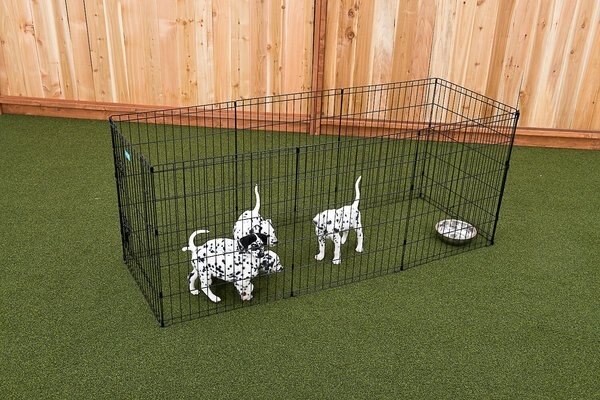 LUCKY DOG Wire Dog Exercise Pen with Step-Thru Door, Small - Chewy.com