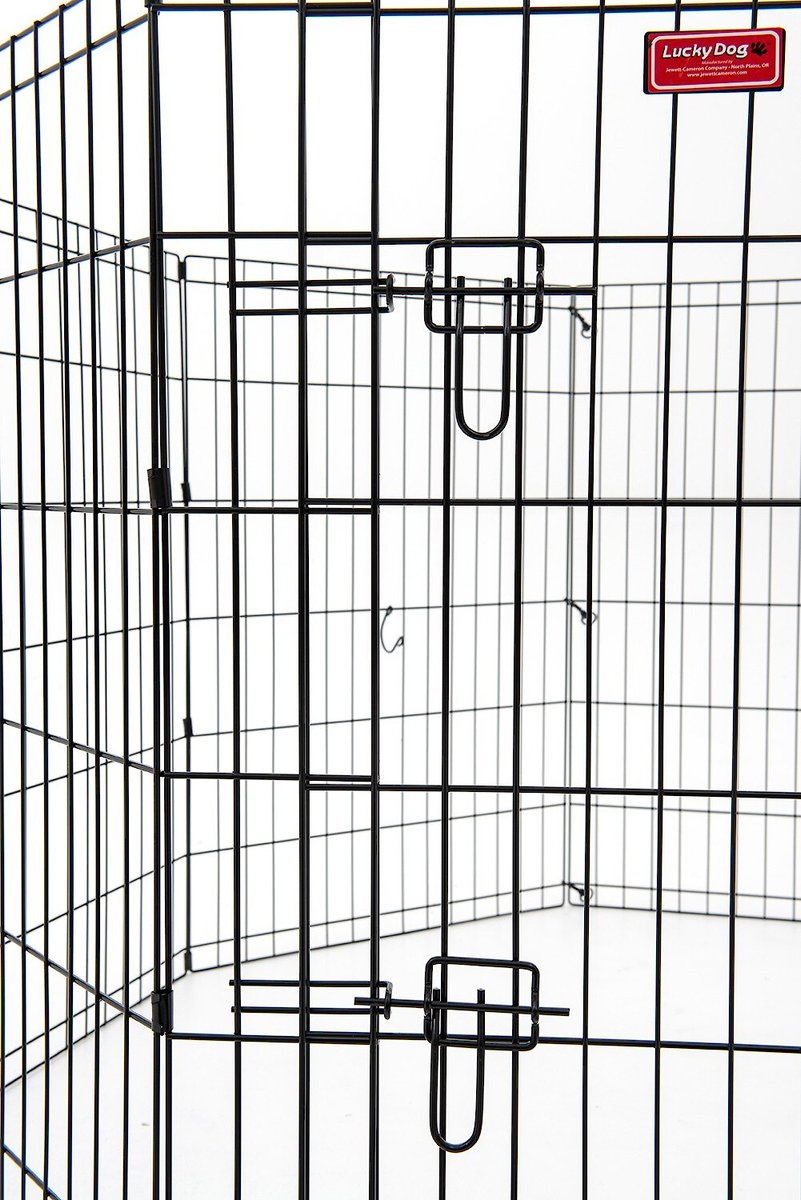 LUCKY DOG Wire Dog Exercise Pen with Step-Thru Door, Small - Chewy.com