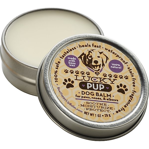 DERMOSCENT BioBalm Skin Repairing Dog Balm, 1.67-oz jar - Chewy.com
