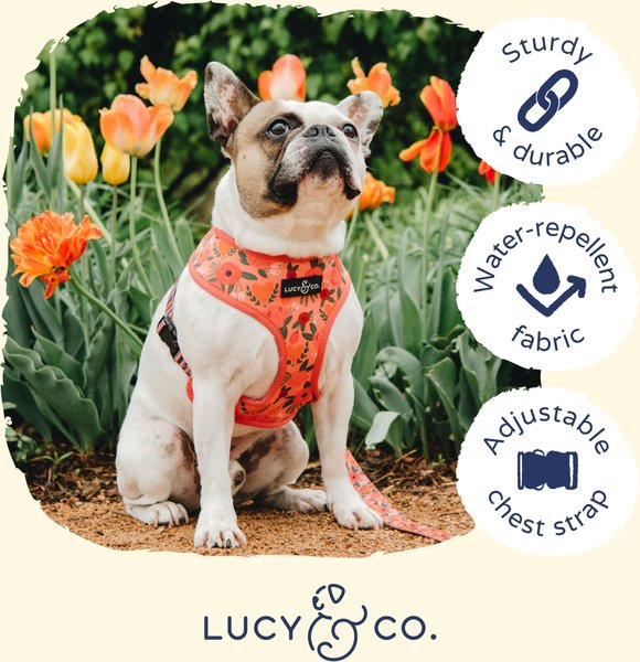 LUCY & CO. The Posy Pink Reversible Dog Harness, Pink, Small: 14 to 18 ...