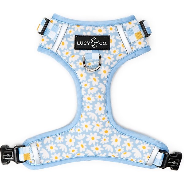 LUCY & CO. The Take a Hike Reversible Dog Harness, Green, X-Large: 23 ...