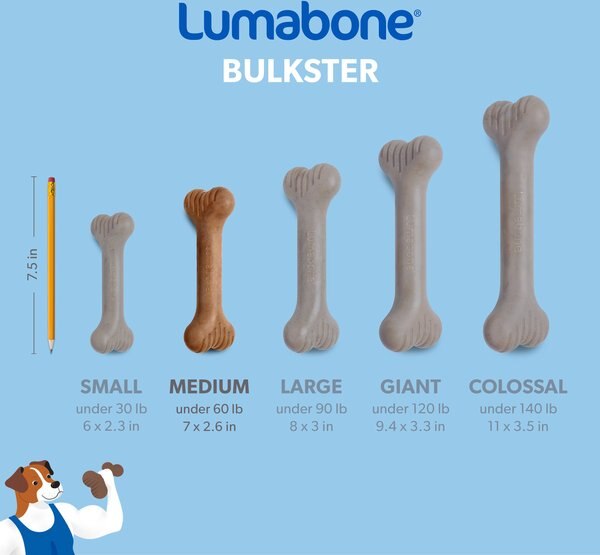 LUMABONE Bulkster Bacon Flavor Dog Toy, Medium - Chewy.com