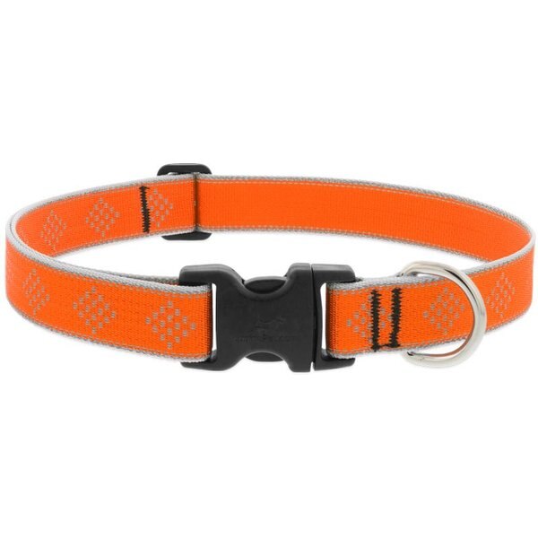K9 EXPLORER Brights Reflective Dog Collar, Lake, 18 to 26-in neck, 1-in ...
