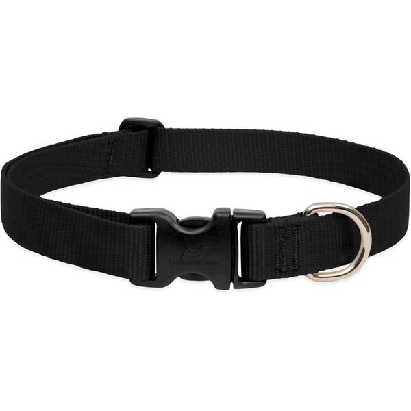 LUPINEPET Standard Dog Collar, Black, Large: 12 to 20-in neck, 1-in ...