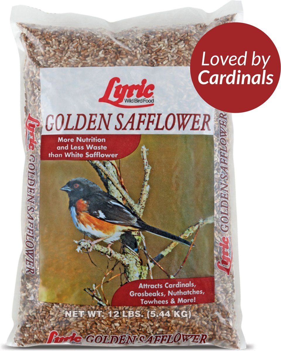 LYRIC Golden Safflower Seed Wild Bird Food, 12-lb bag - Chewy.com