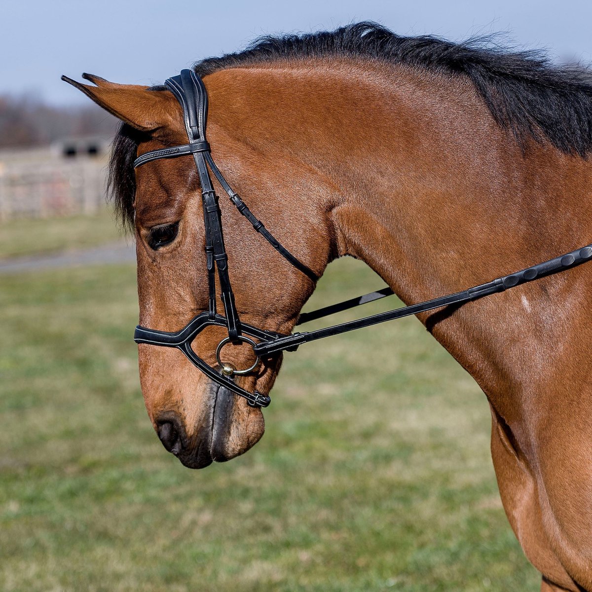 Out of Stock - M. TOULOUSE Comfort Crown Dressage Snaffle Bridle, Chocolate, Full - Chewy.com