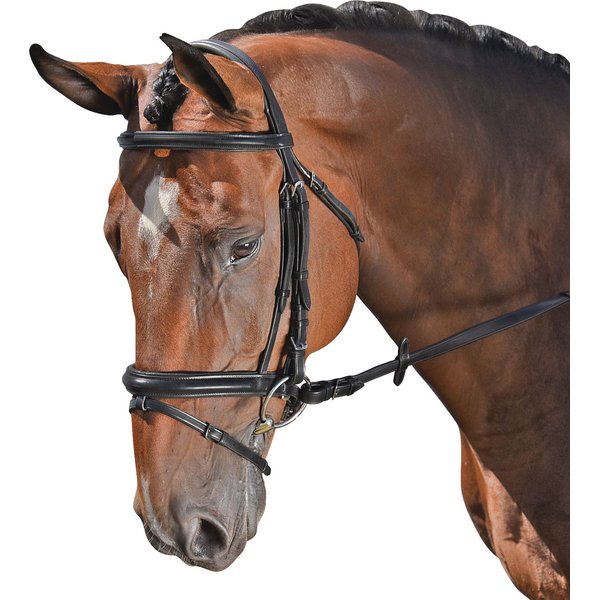 Out of Stock - M. TOULOUSE Comfort Crown Dressage Snaffle Bridle ...