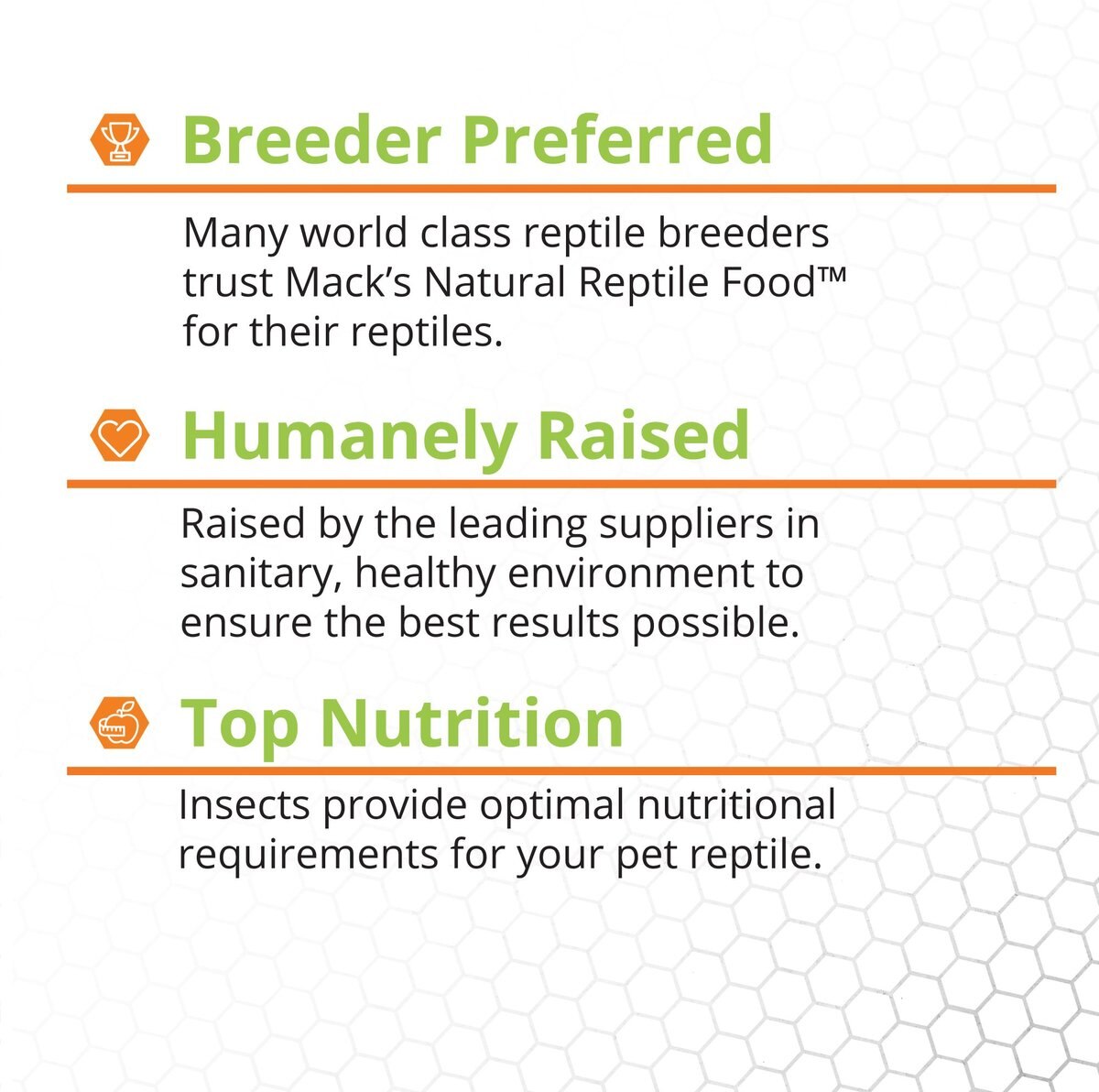 Temporarily Unavailable - MACK'S NATURAL REPTILE FOOD Hornworm Live ...