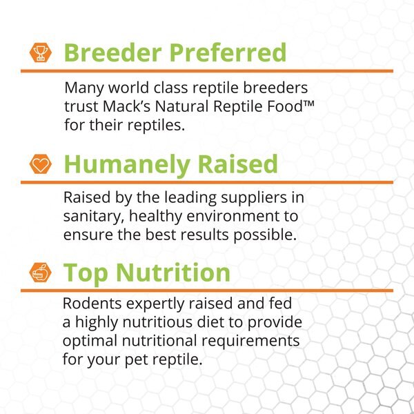 MACK'S NATURAL REPTILE FOOD Medium Mice Frozen Reptile Food, 50 count ...