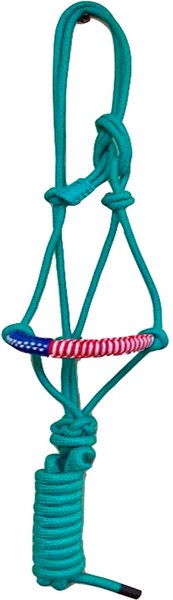 MAJESTIC ALLY Horse Nose Poly Rope & Halter, Turquoise - Chewy.com