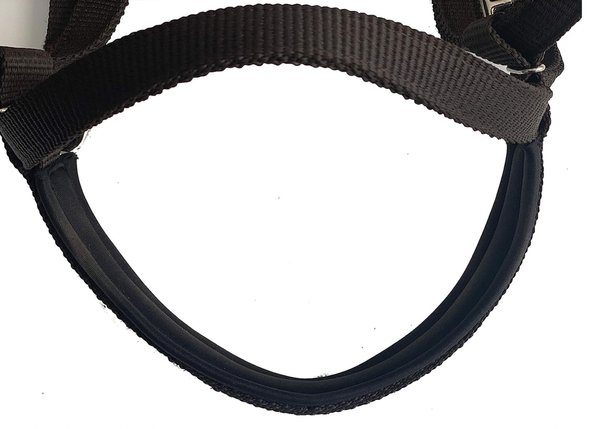 MAJESTIC ALLY Nylon Padded Browband Headstall & Reins Horse Tack, Black ...