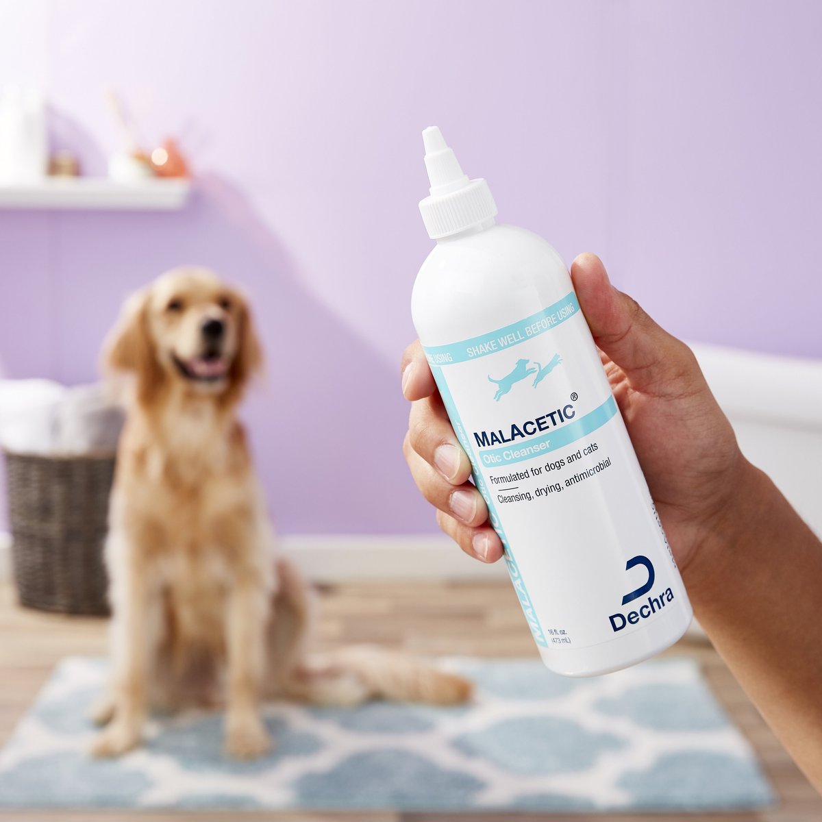 MalAcetic Otic Cleanser for Dogs & Cats (Free Shipping) | Chewy