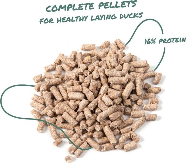 MANNA PRO Duck Layer Pellets Duck Food, 25-lb bag - Chewy.com