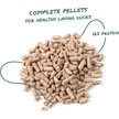 MANNA PRO Duck Layer Pellets Duck Food, 25-lb bag - Chewy.com
