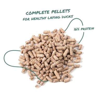 MANNA PRO Duck Layer Pellets Duck Food, 25-lb bag - Chewy.com