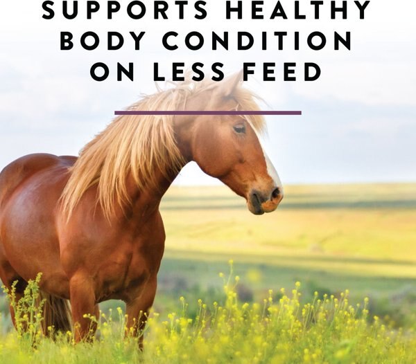 MANNA PRO Opti-Zyme Microbial Probiotic Digestive Hindgut Health Granules Horse, Cattle, Pigs ...