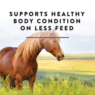 MANNA PRO Opti-Zyme Microbial Probiotic Digestive Hindgut Health ...