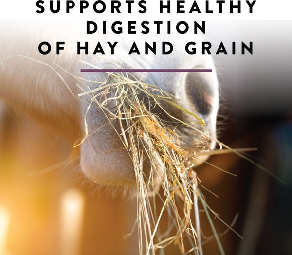 MANNA PRO Opti-Zyme Microbial Probiotic Digestive Hindgut Health Granules Horse, Cattle, Pigs ...