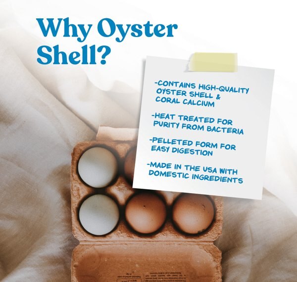 MANNA PRO Oyster Shell Poultry Supplement, 5-lb bag - Chewy.com