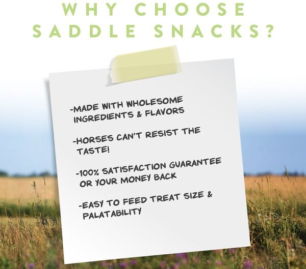 MANNA PRO Saddle Snacks Apple Flavored Pellet Horse Treats, 18-lb bag ...