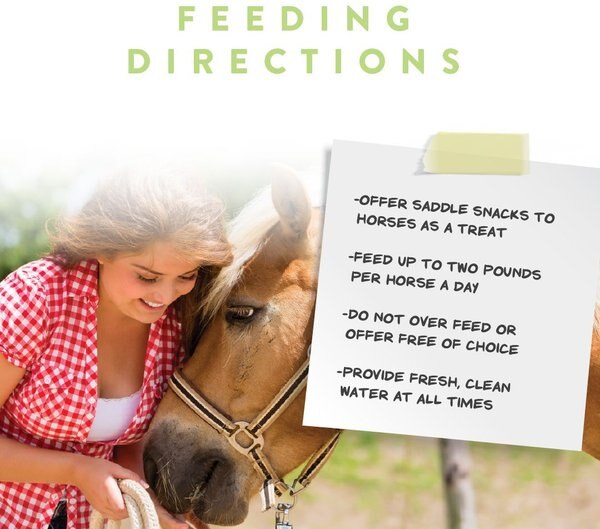 MANNA PRO Saddle Snacks Apple Flavored Pellet Horse Treats, 18-lb bag ...