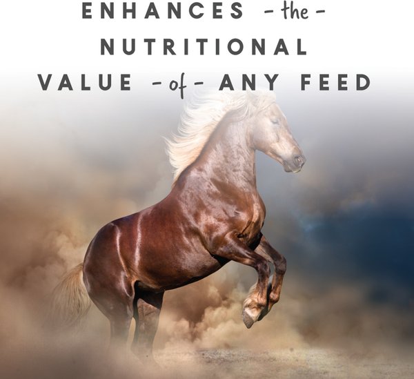 MANNA PRO Sho-Glo Complete Vitamin & Mineral Pellets Horse Supplement ...