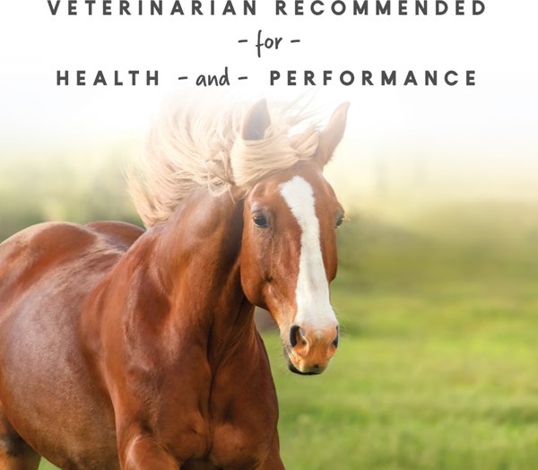 MANNA PRO Sho-Glo Complete Vitamin & Mineral Pellets Horse Supplement ...