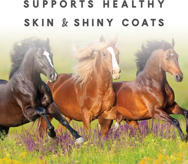 MANNA PRO Sho-Glo Complete Vitamin & Mineral Pellets Horse Supplement ...