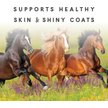 MANNA PRO Sho-Glo Complete Vitamin & Mineral Pellets Horse Supplement ...