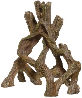 superfish mangrove root