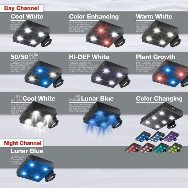MARINELAND LED Modular Pod Warm White Aquarium Lighting - Chewy.com